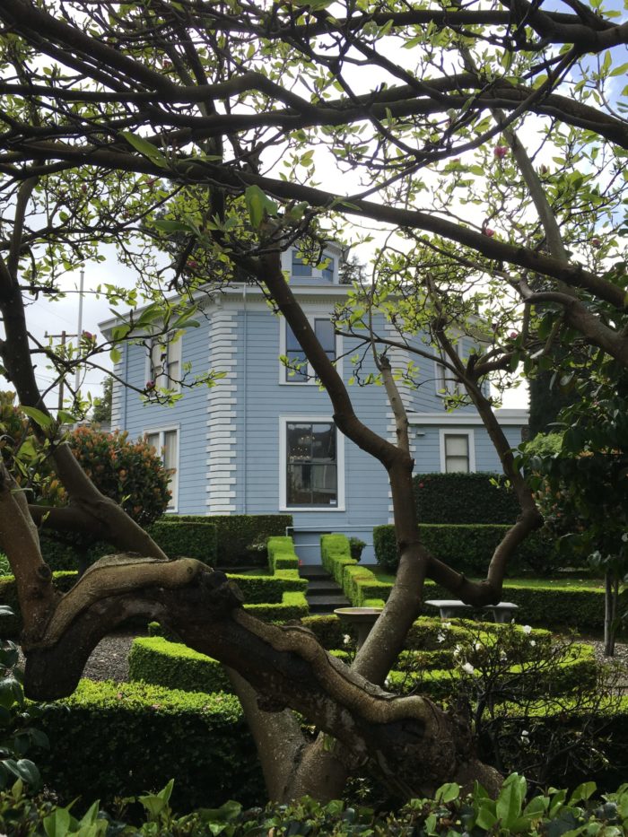 Inside Octagon House San Francisco San Francisco City Guides Free